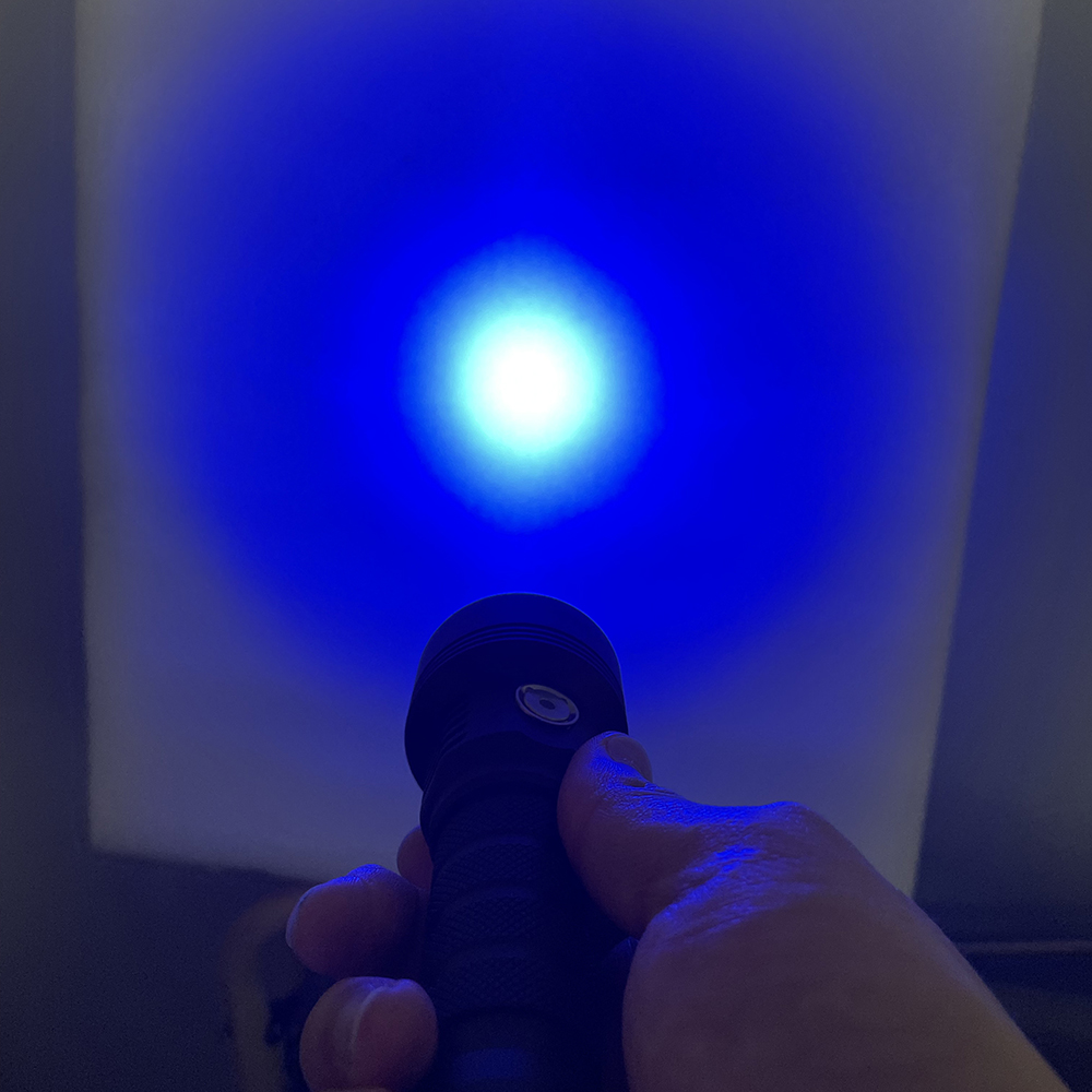 Professional 365nm UV LED Flashlight Detect Mineral Rock Black Light ...